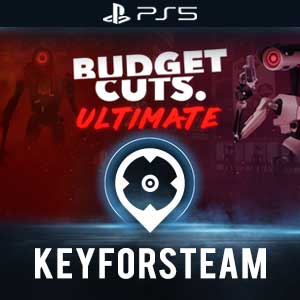 Kaufe Budget Cuts Ultimate VR PS5 Preisvergleich
