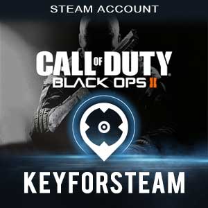 Call of Duty Black Ops 2 Steam Account Preise Vergleichen Kaufen