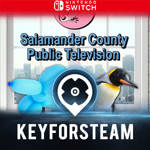 Kaufe Salamander County Public Television Nintendo Switch Preisvergleich