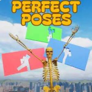 Perfect Poses Key kaufen Preisvergleich