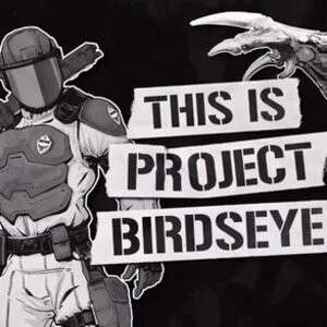 Project Birdseye Key kaufen Preisvergleich