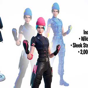 Kaufe Fortnite Wildcat Bundle Nintendo Switch Preisvergleich