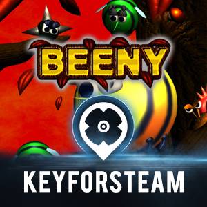 Beeny Key kaufen Preisvergleich