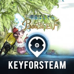 Beetle Elf Key kaufen Preisvergleich