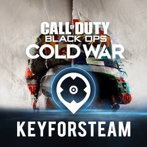 COD Black Ops Cold War Key kaufen Preisvergleich