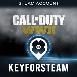 Call of Duty WW2 Steam Account Preise Vergleichen Kaufen