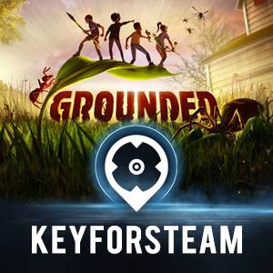 Grounded Key kaufen Preisvergleich