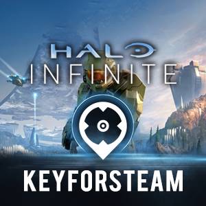 Halo Infinite Key kaufen Preisvergleich
