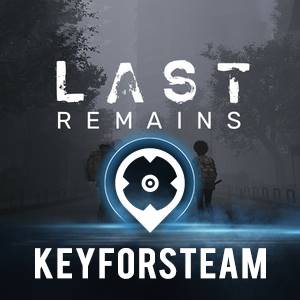 Last Remains Key kaufen Preisvergleich