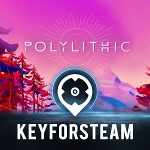 Polylithic Key kaufen Preisvergleich