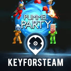 Pummel Party Key kaufen Preisvergleich