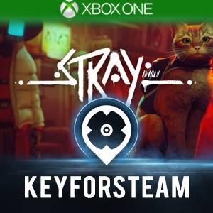Kaufe STRAY Xbox One Preisvergleich