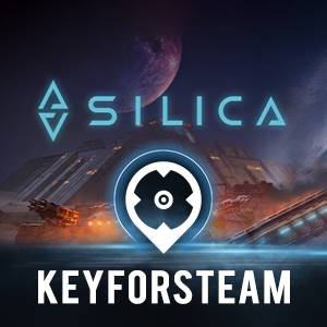 Silica Key kaufen Preisvergleich