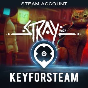 Stray Steam Account Preise Vergleichen Kaufen
