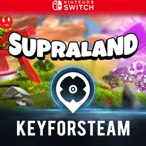 Kaufe Supraland Nintendo Switch Preisvergleich