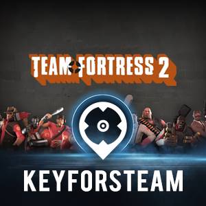 Team Fortress 2 Key kaufen Preisvergleich