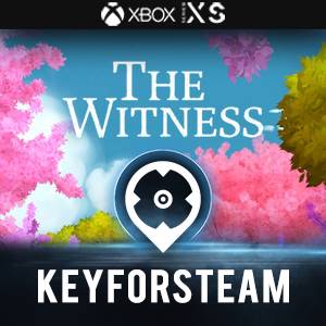 Kaufe The Witness Xbox Series Preisvergleich