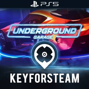 Kaufe Underground Garage PS5 Preisvergleich