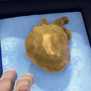 Surgeon Simulator 2013 CD Key kaufen - Preisvergleich - Keyforsteam.de