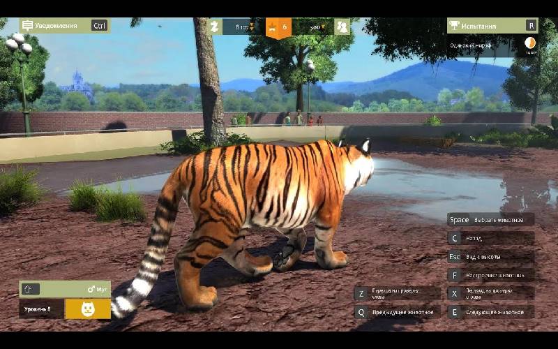 Zoo Tycoon Ultimate Animal Collection Steam Account Preise Vergleichen ...